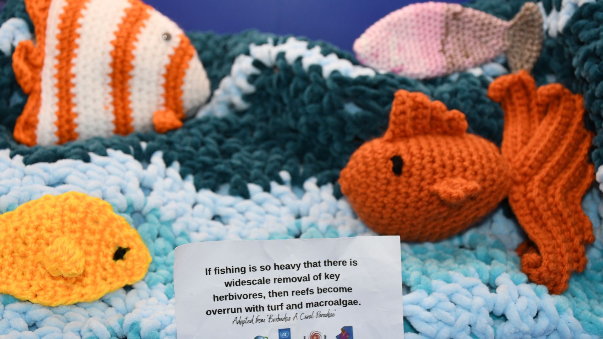 Visit our Crochet for a Cause Exhibit - Elaines Caribbean Crochet