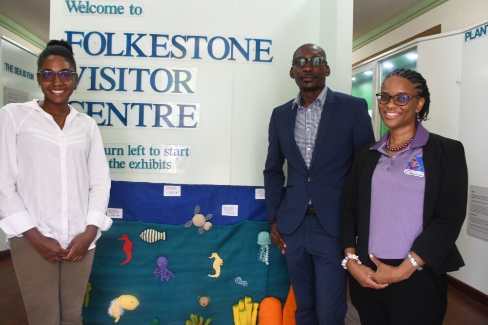 Folkestone Museum hosts Creative Crochet Collection - Elaines Caribbean ...