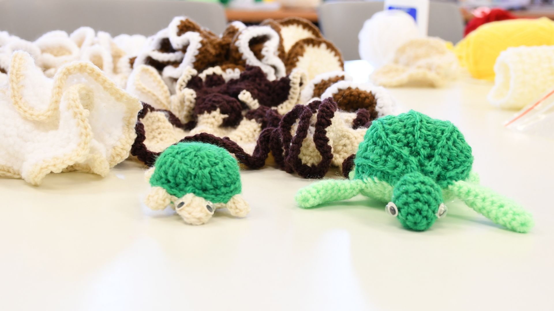 Antiguans Launch Crochet Exhibit to Raise Environmental Awareness ...